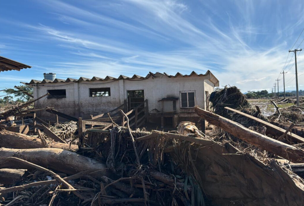 Enchentes No RS Agravam Situação Do Produtor De Leite Gaúcho, Aponta ...